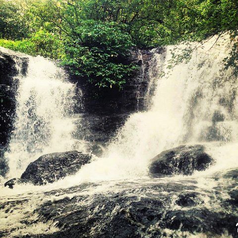 9 of the Most Famous Picturesque Waterfalls in Goa | Only In Your State ...