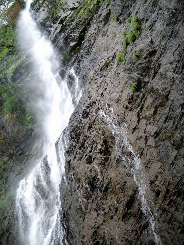 9 of the Most Famous Picturesque Waterfalls in Goa | Only In Your State ...