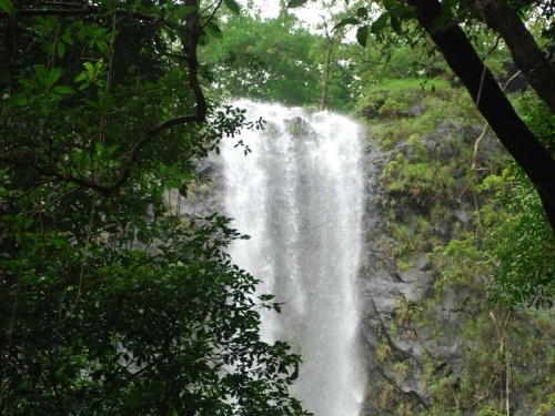 9 of the Most Famous Picturesque Waterfalls in Goa | Only In Your State ...
